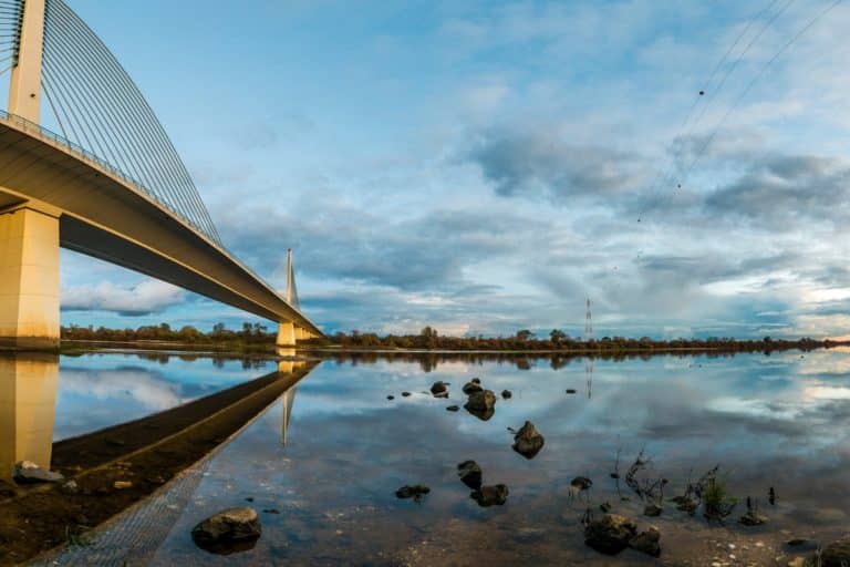 Gastroenterite no Rio Tejo